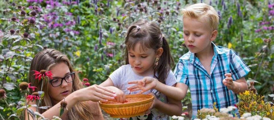 Familienausflug: 10 schönsten Gärten & Parkanlagen der Schweiz | Famigros