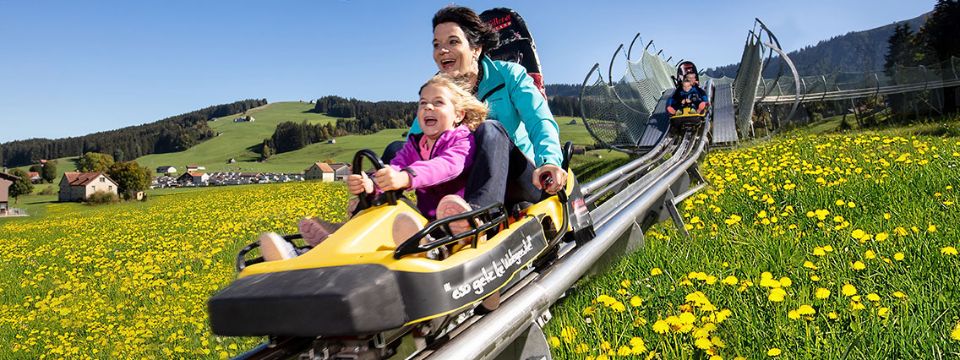 Die 10 spektakulärsten Rodelbahnen der Schweiz | Famigros