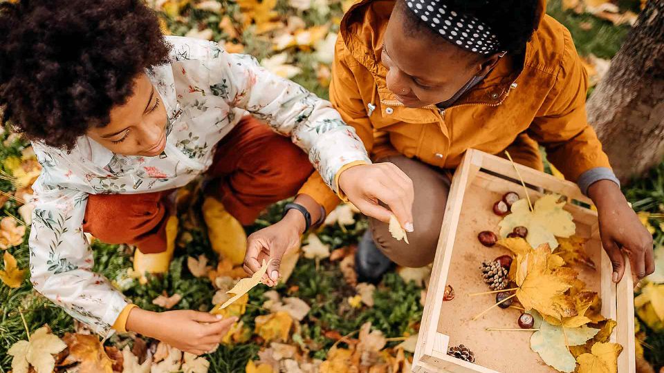 13 wunderbare Ideen für Waldspiele mit Kindern | Famigros