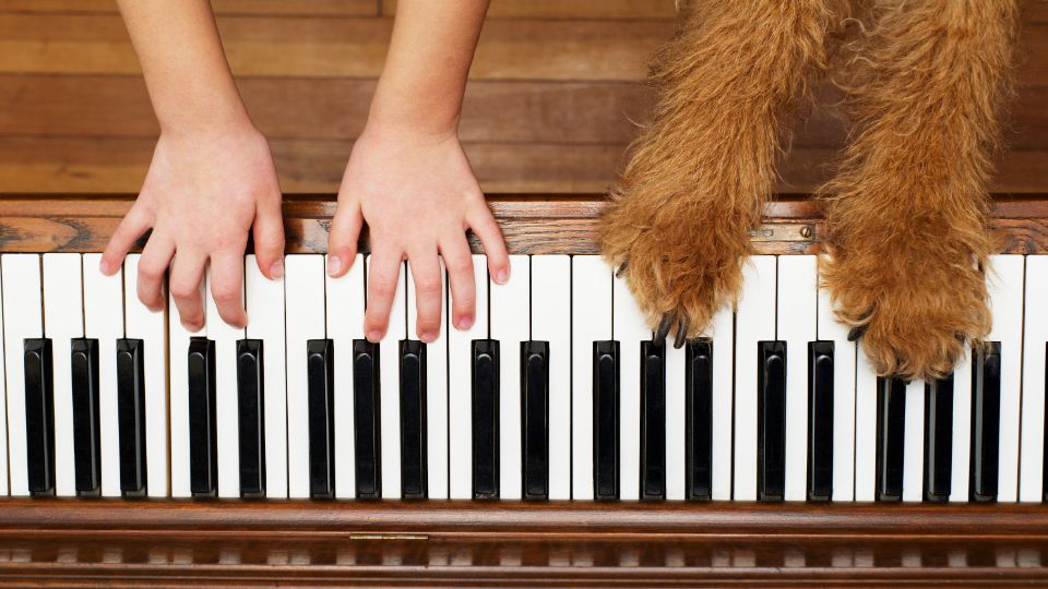 Kinderlieder aller Art: Jetzt mitsingen | Famigros