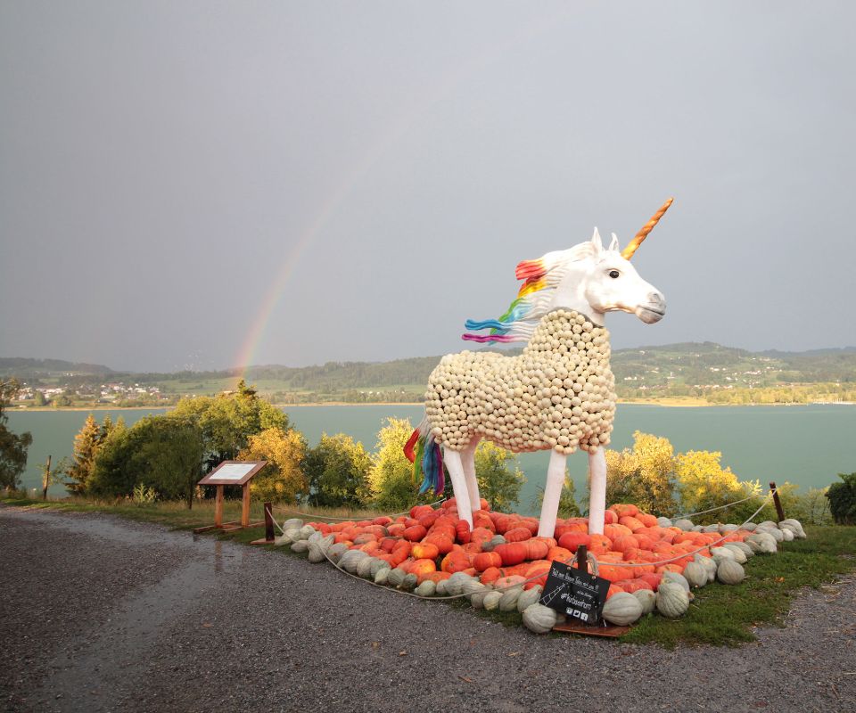 Les 10 fermes aventures les plus chouettes de Suisse | Famigros