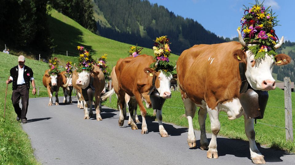 9 désalpes à ne surtout pas manquer | Famigros