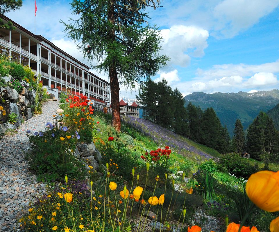 Alpinum Schatzalp | Famigros