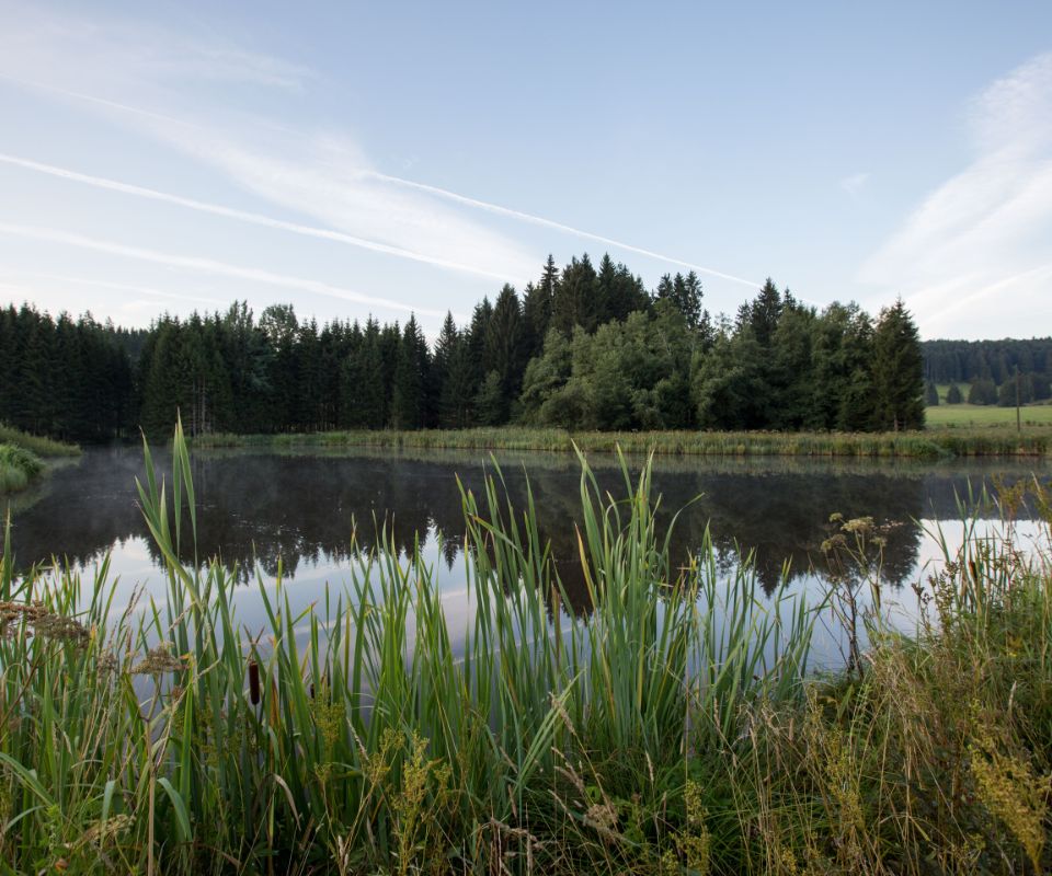 Im «Parc naturel régional du Doubs» ist die Natur zuhause | Famigros