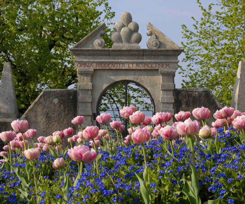 Schloss Wildegg: Reiseziel Vergangenheit | Famigros