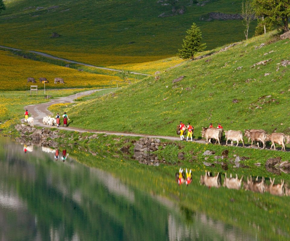 Lac de Seealp dans le pays d'Appenzell | Famigros