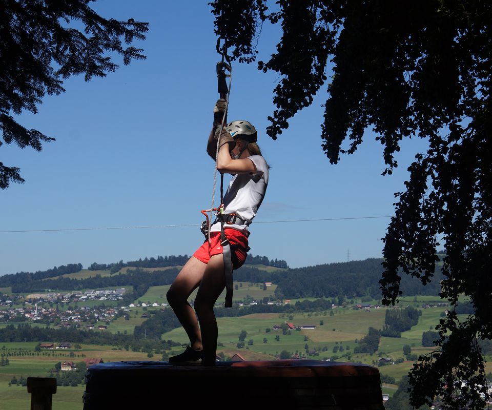 Seilpark Rigi: Kletterglück zwischen Baumwipfeln | Famigros