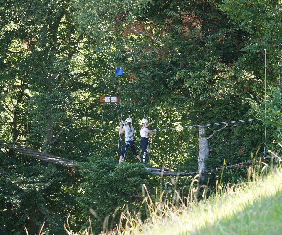 Seilpark Rigi: Kletterglück zwischen Baumwipfeln | Famigros