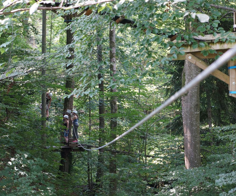 Seilpark Rigi: Kletterglück zwischen Baumwipfeln | Famigros