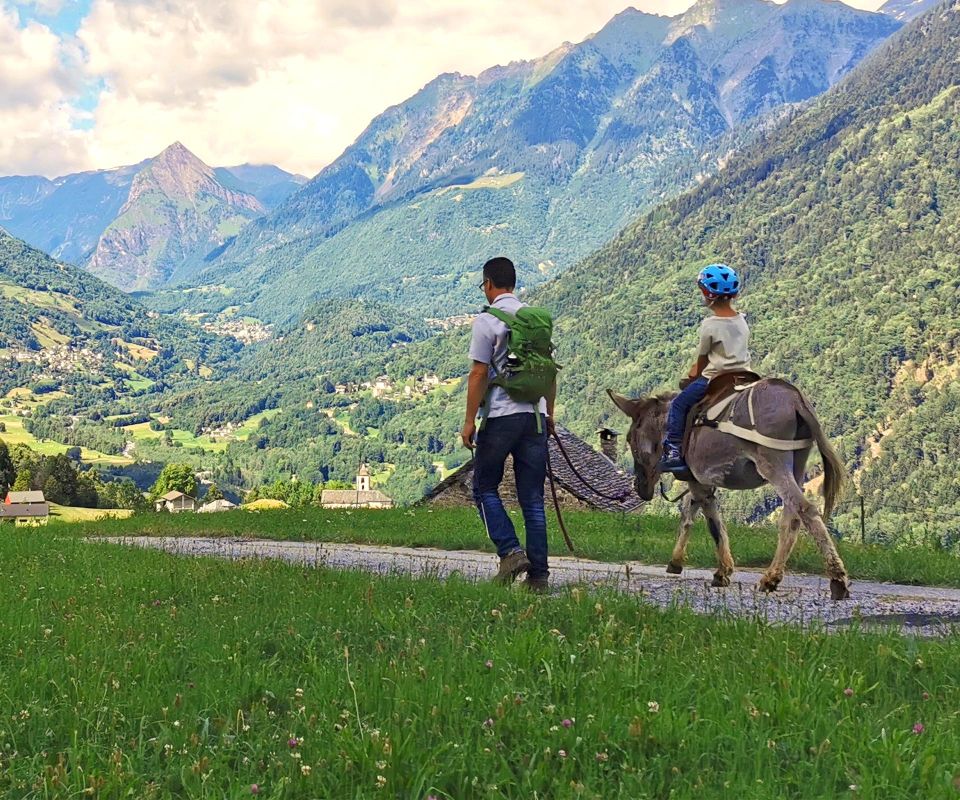 Ferien mit Tieren: Unterwegs im Valle di Sole | Famigros