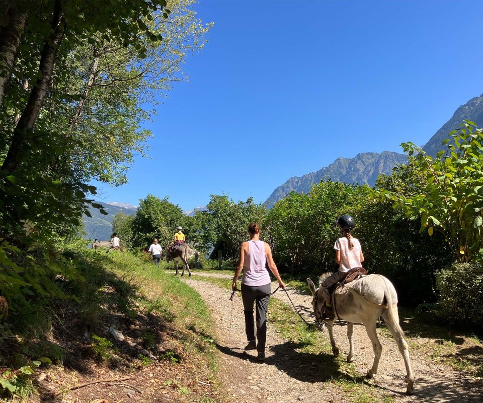 Ferien mit Tieren: Unterwegs im Valle di Sole | Famigros