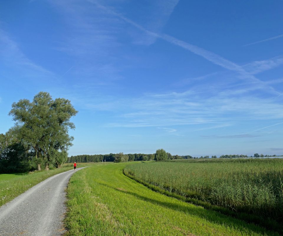 Observer les oiseaux dans le delta du Rhin | Famigros