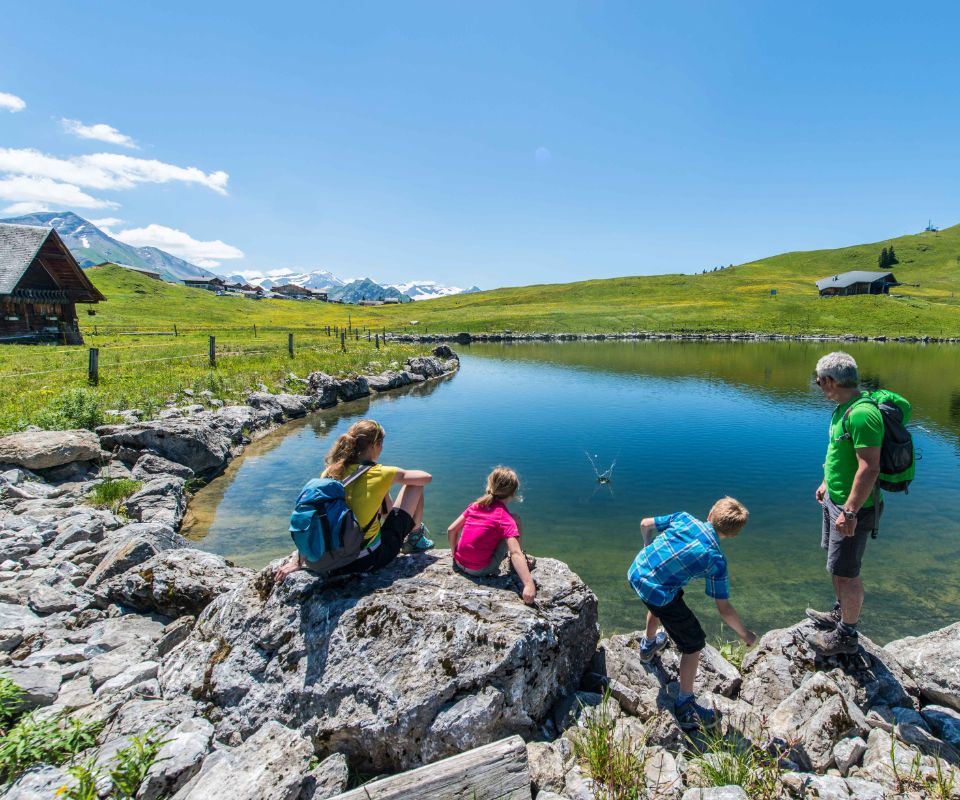 Wandern und spielen am Rinderberg ob Zweisimmen | Famigros