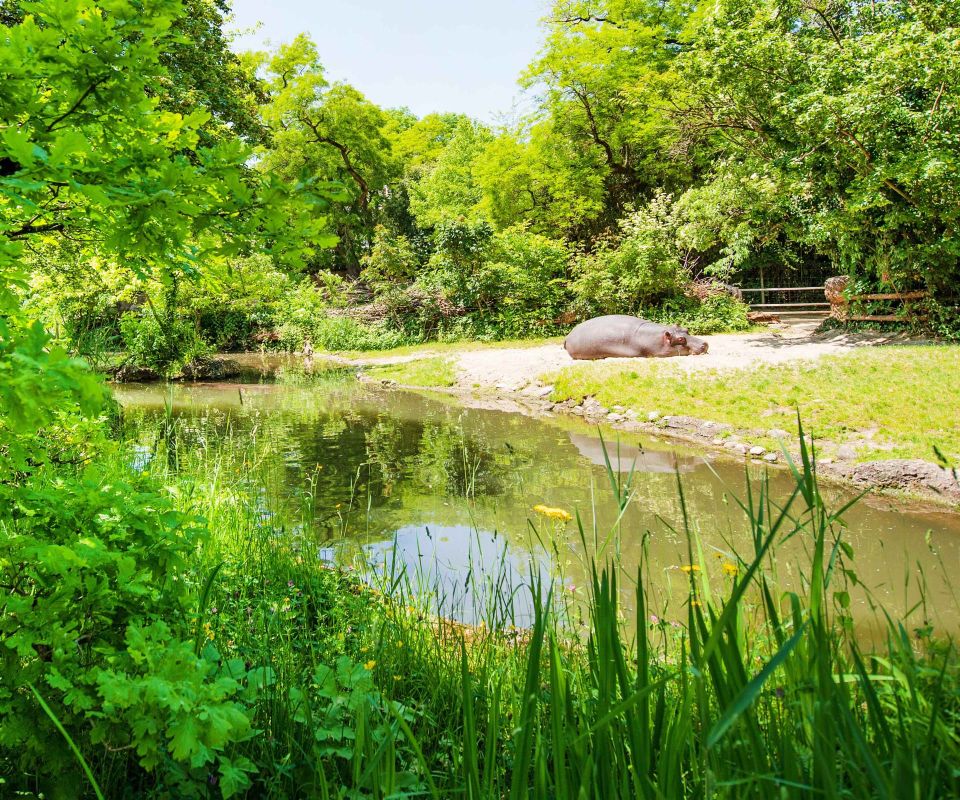 Zoo Basel – Tiere hautnah erleben | Famigros