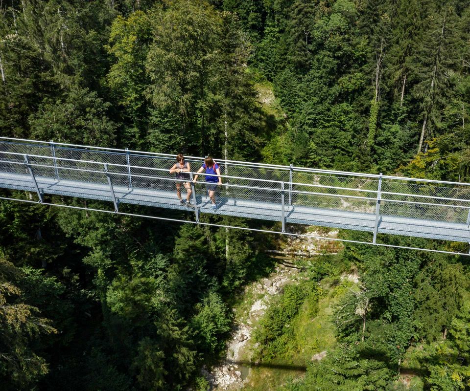 10 randonnées spectaculaires sur des ponts suspendus | Famigros