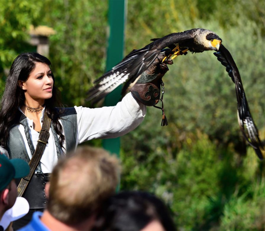 Location per la festa di compleanno di bambini dai 7 ai 10 anni | Famigros