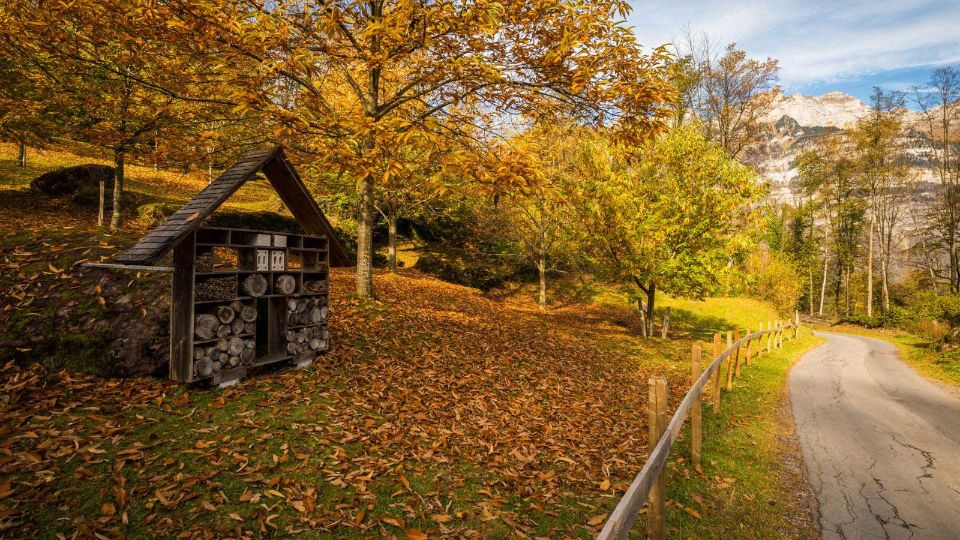 Die 10 spannendsten Erlebniswege der Schweiz | Famigros
