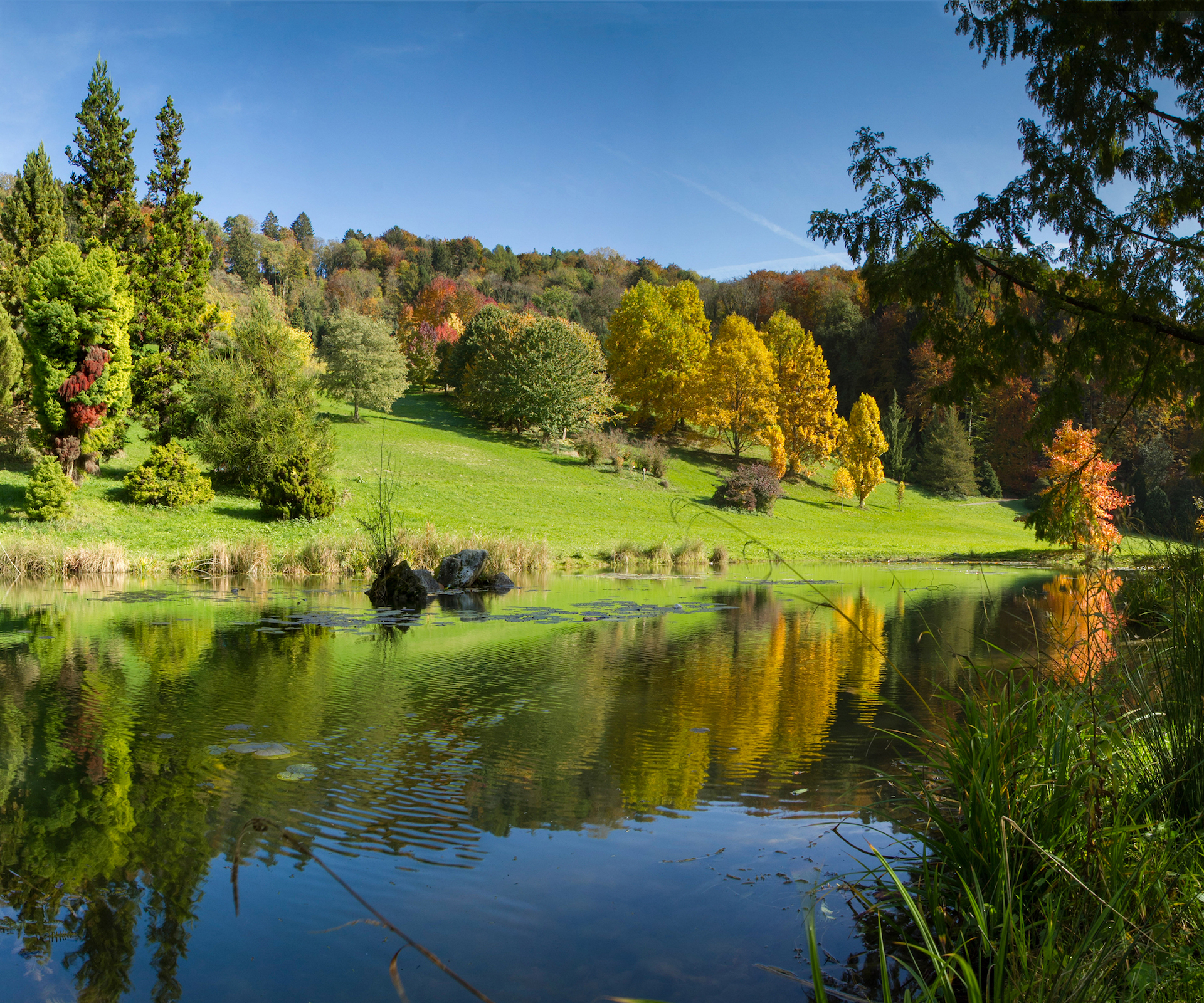 Arboretum Aubonne | Famigros