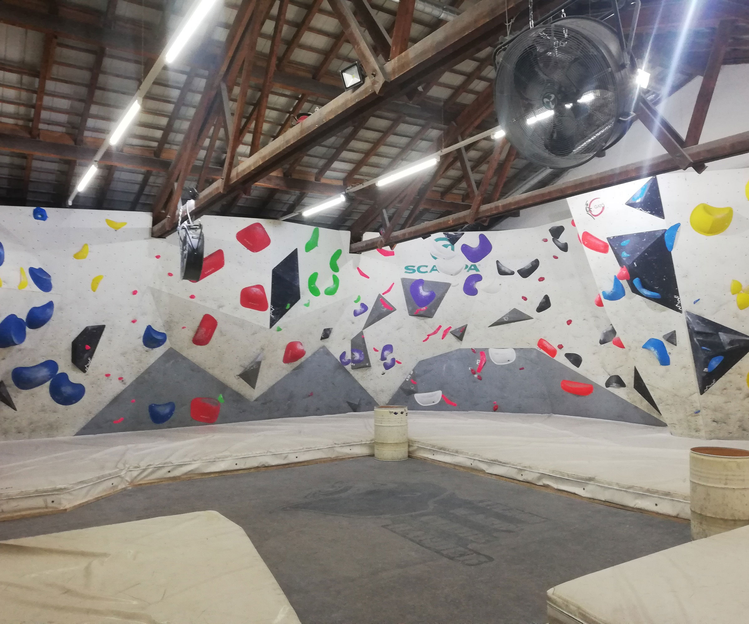 Alpha Boulder Giubiasco bringt Kids in Bewegung | Famigros